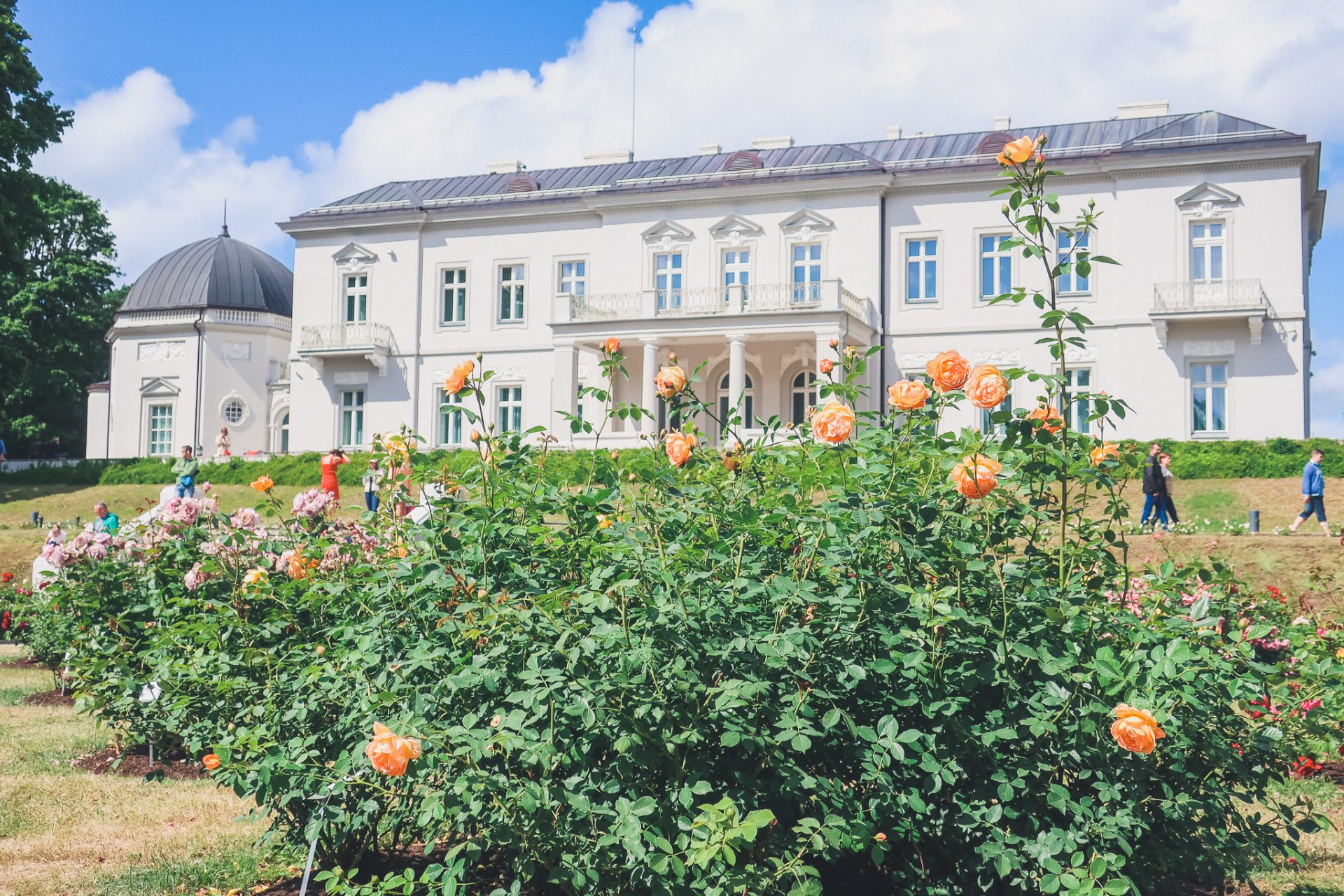 9 Amazing Things to do in Palanga - Valentina's Destinations