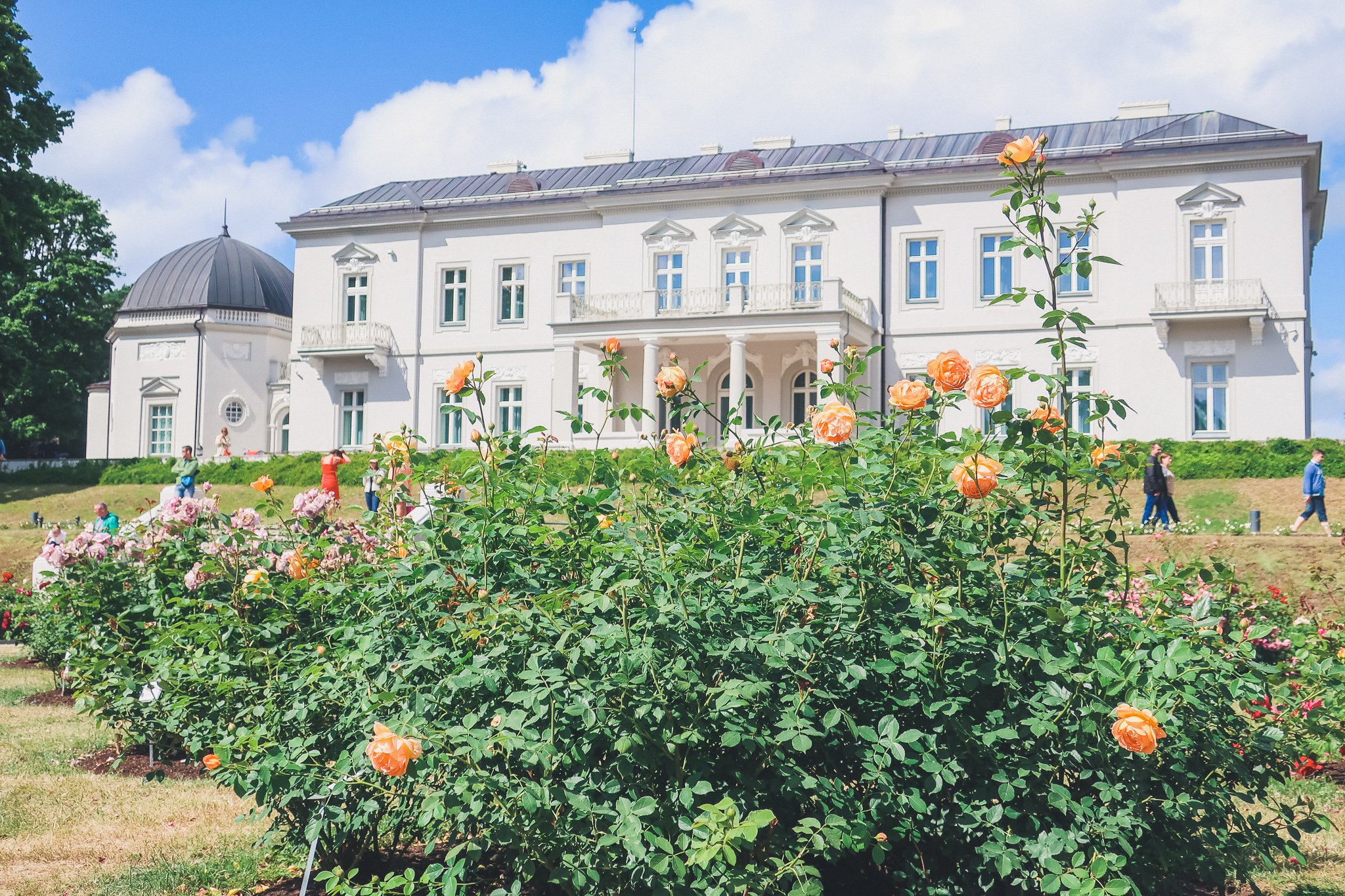 9 Amazing Things to do in Palanga - Valentina's Destinations