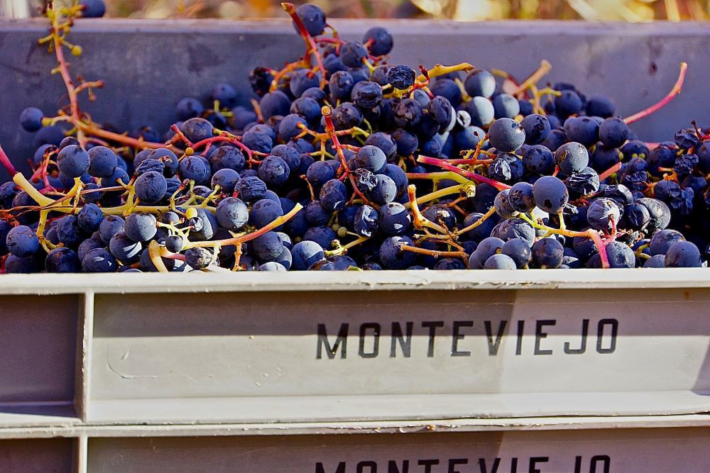 The Best Uco Valley Wineries - Valentina's Destinations