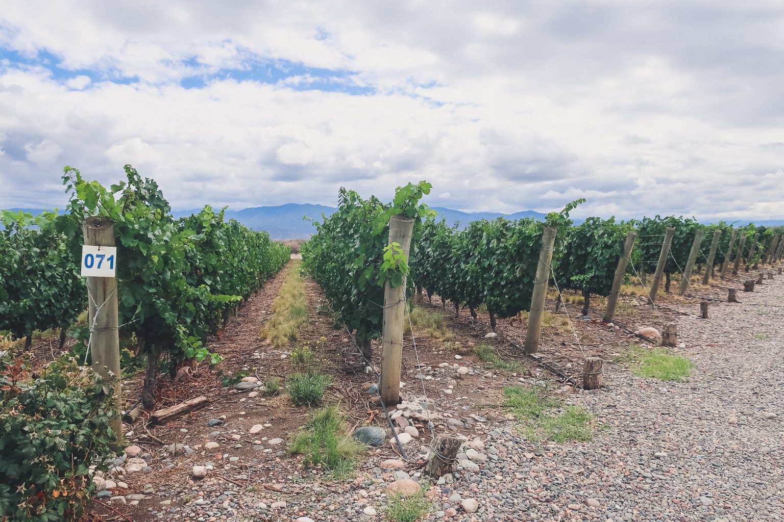 The Best Uco Valley Wineries - Valentina's Destinations