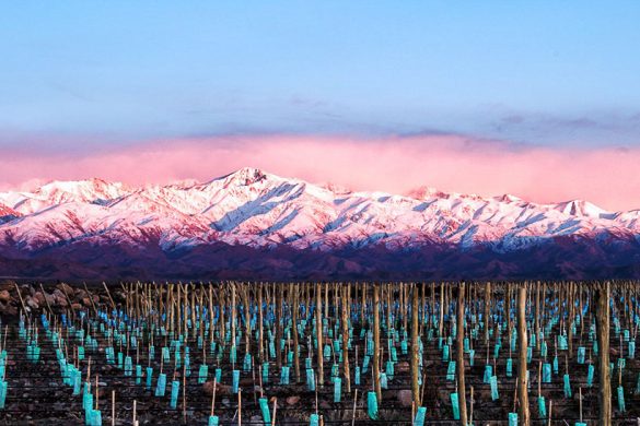 The Best Uco Valley Wineries - Valentina's Destinations