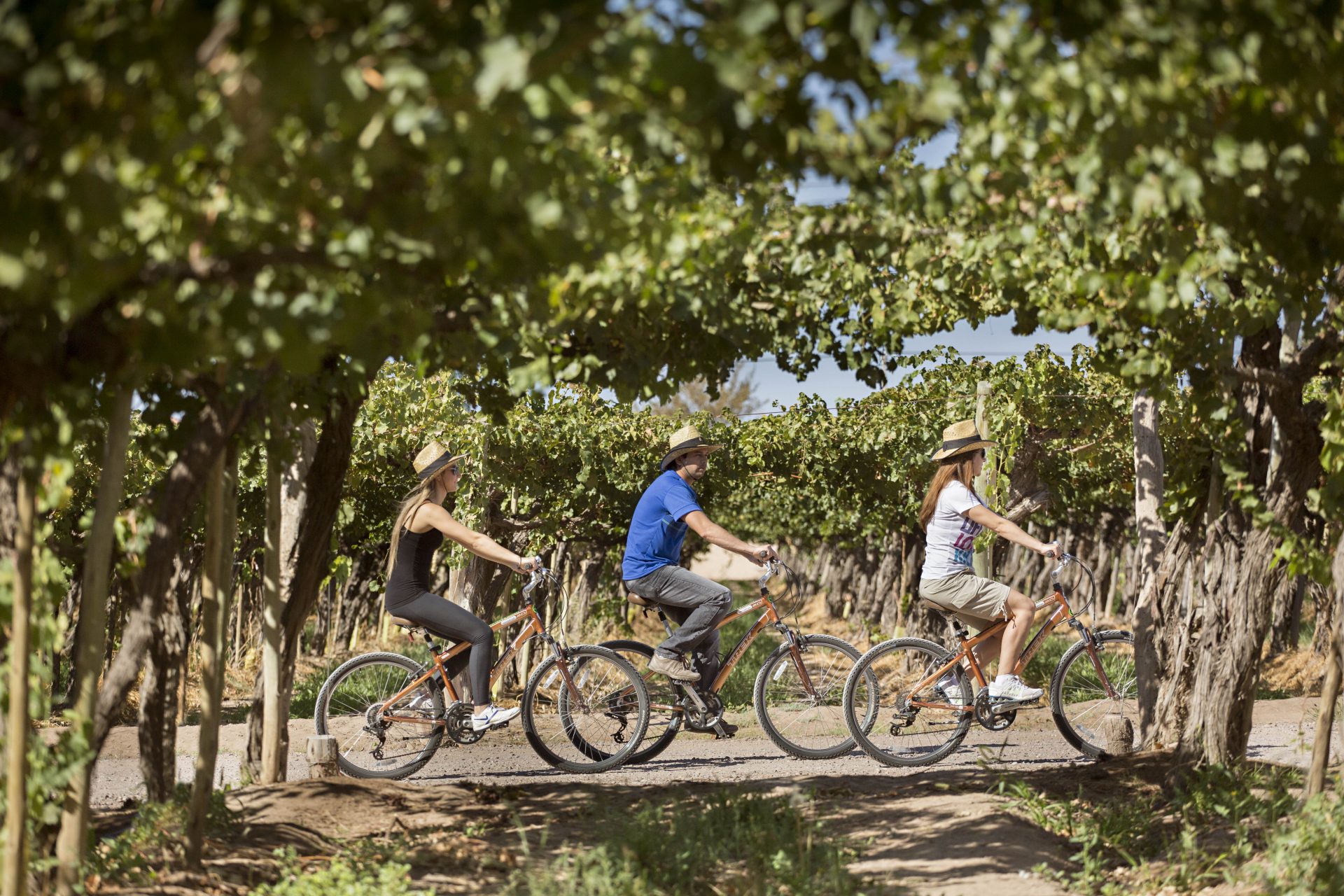 The Best Maipu Wineries in Mendoza - Valentina's Destinations